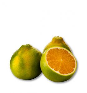 Naranja Nacional – Baru Fresh